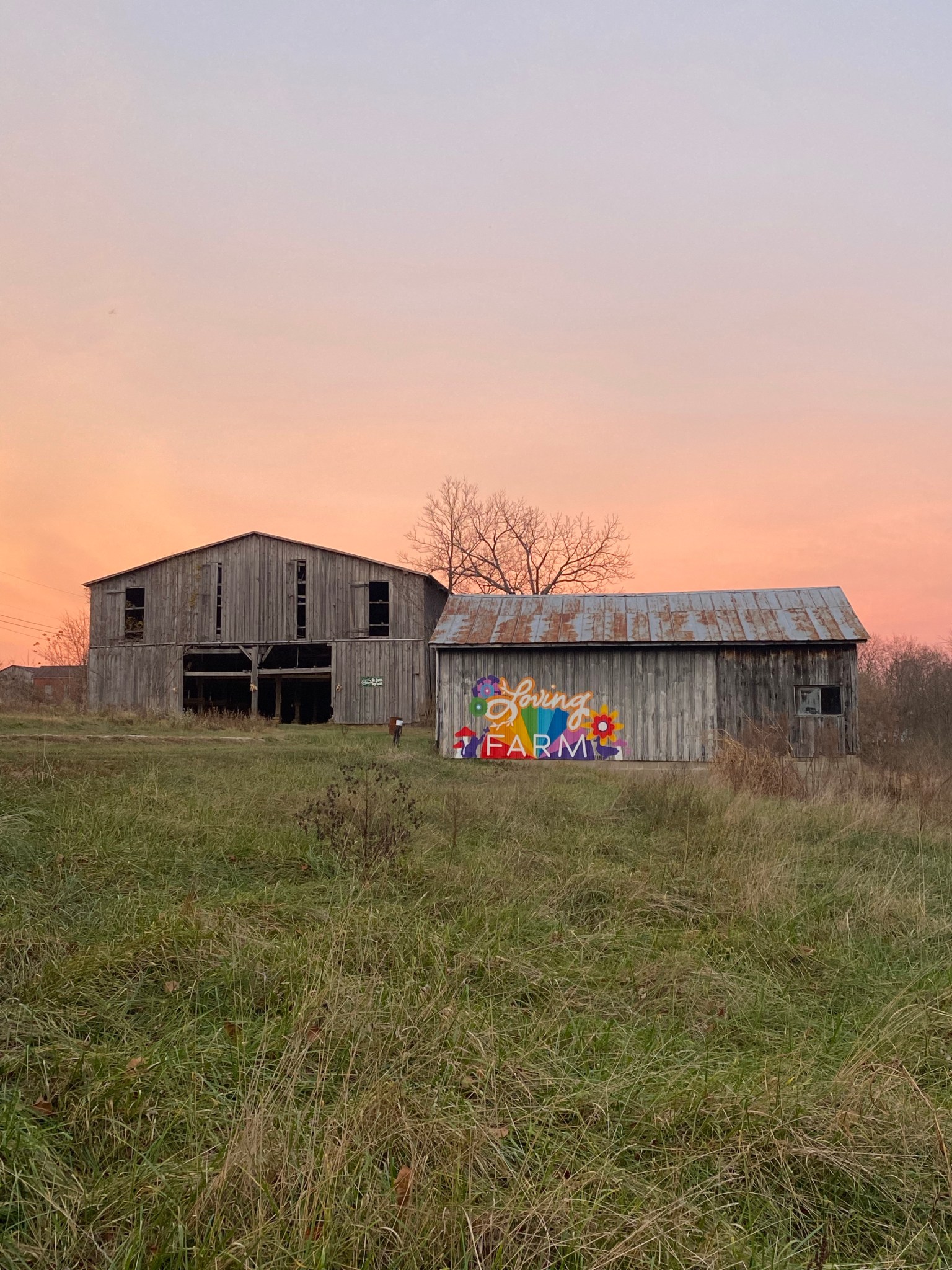 Loving Farm – Two women building their relationship and dreams on a ...