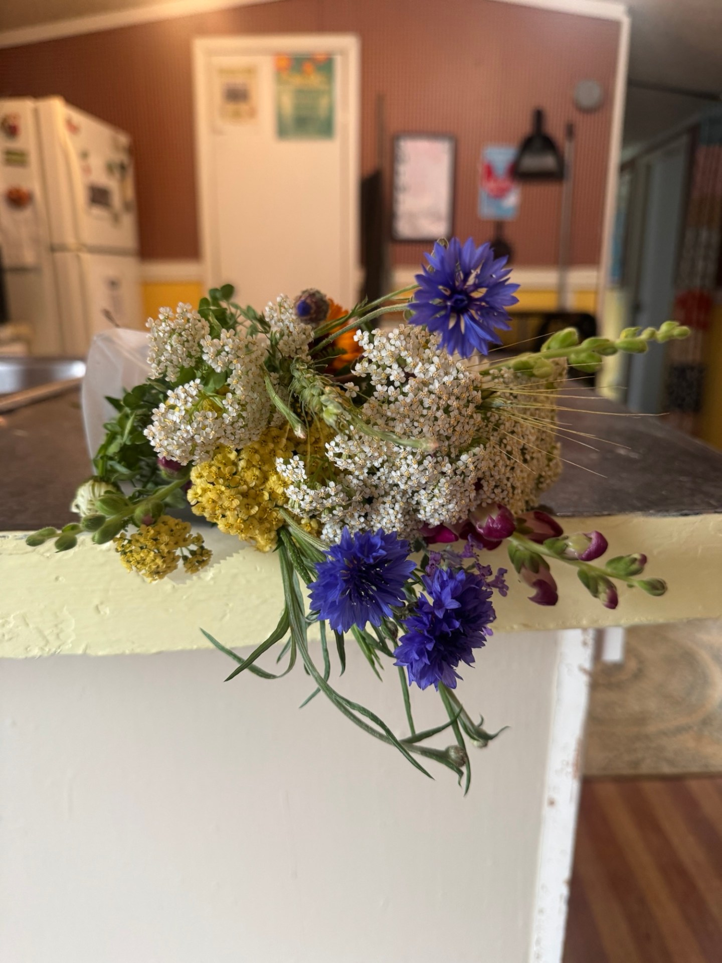 Farm Events and Reservations – Loving Farm