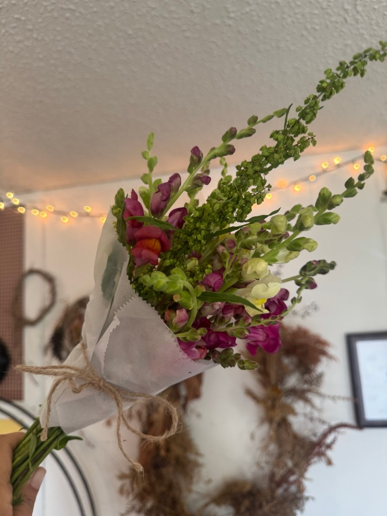 BTS at Loving Farm: What is blooming? – Loving Farm